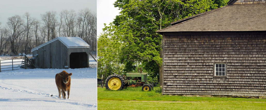 Hallockville Museum Farm - taking Long Island back to its family ...