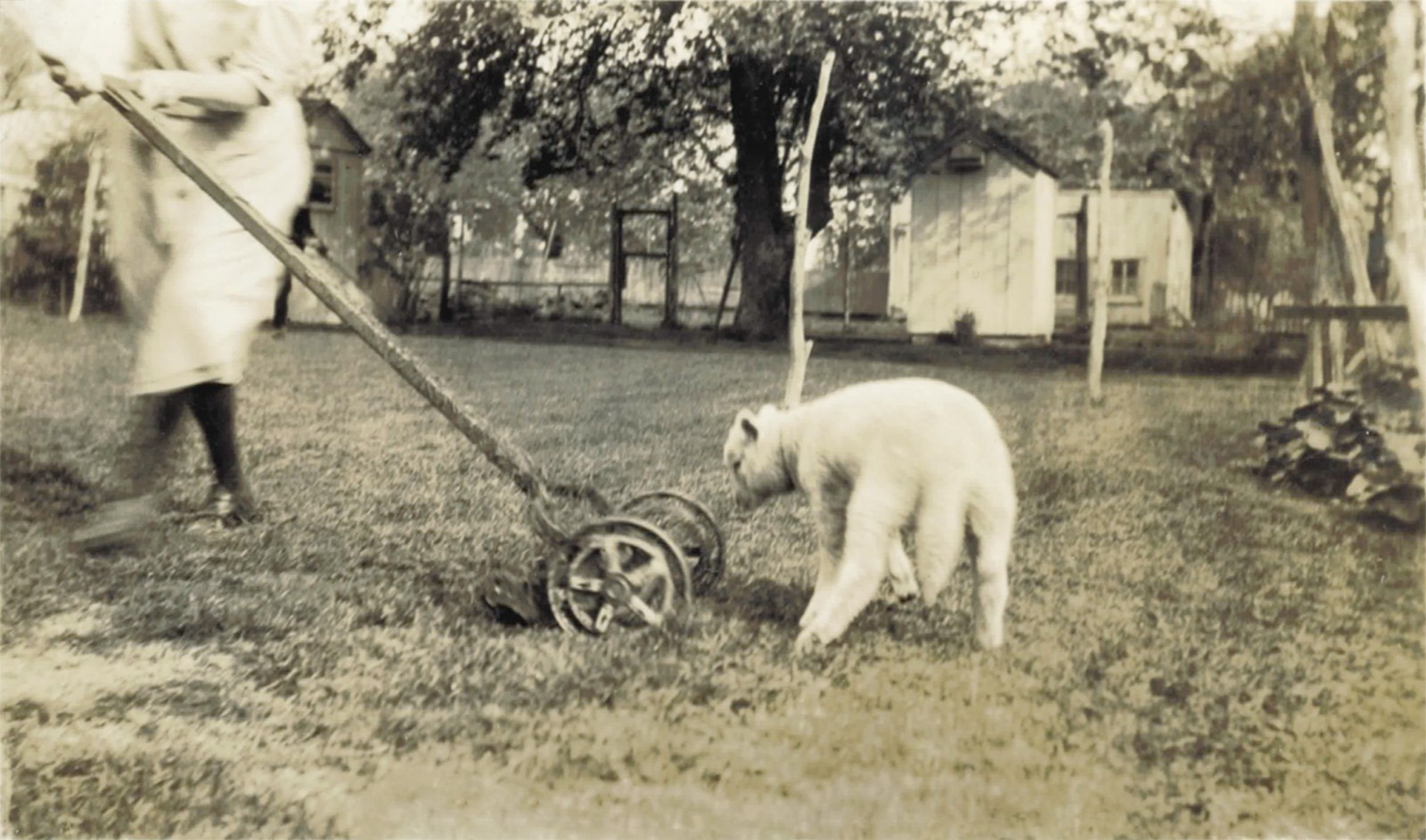 EDUCATION - Hallockville Museum Farm
