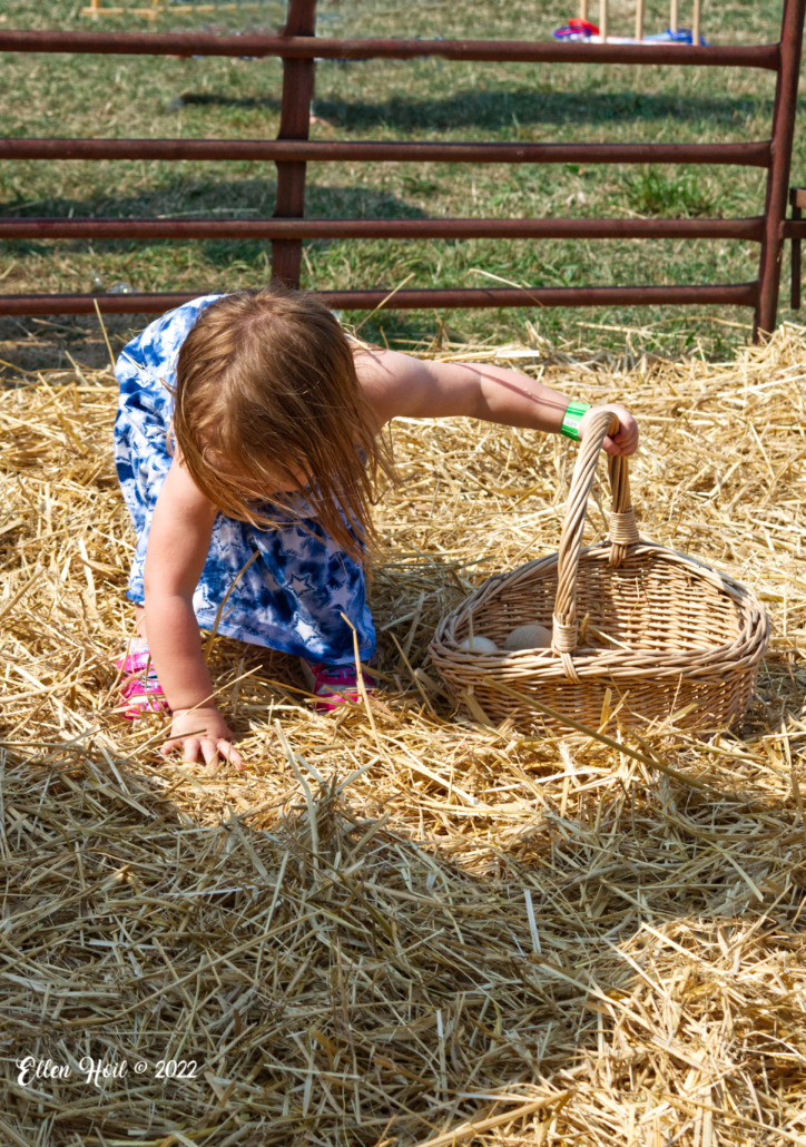 Hallockville Museum Farm - taking Long Island back to its family ...