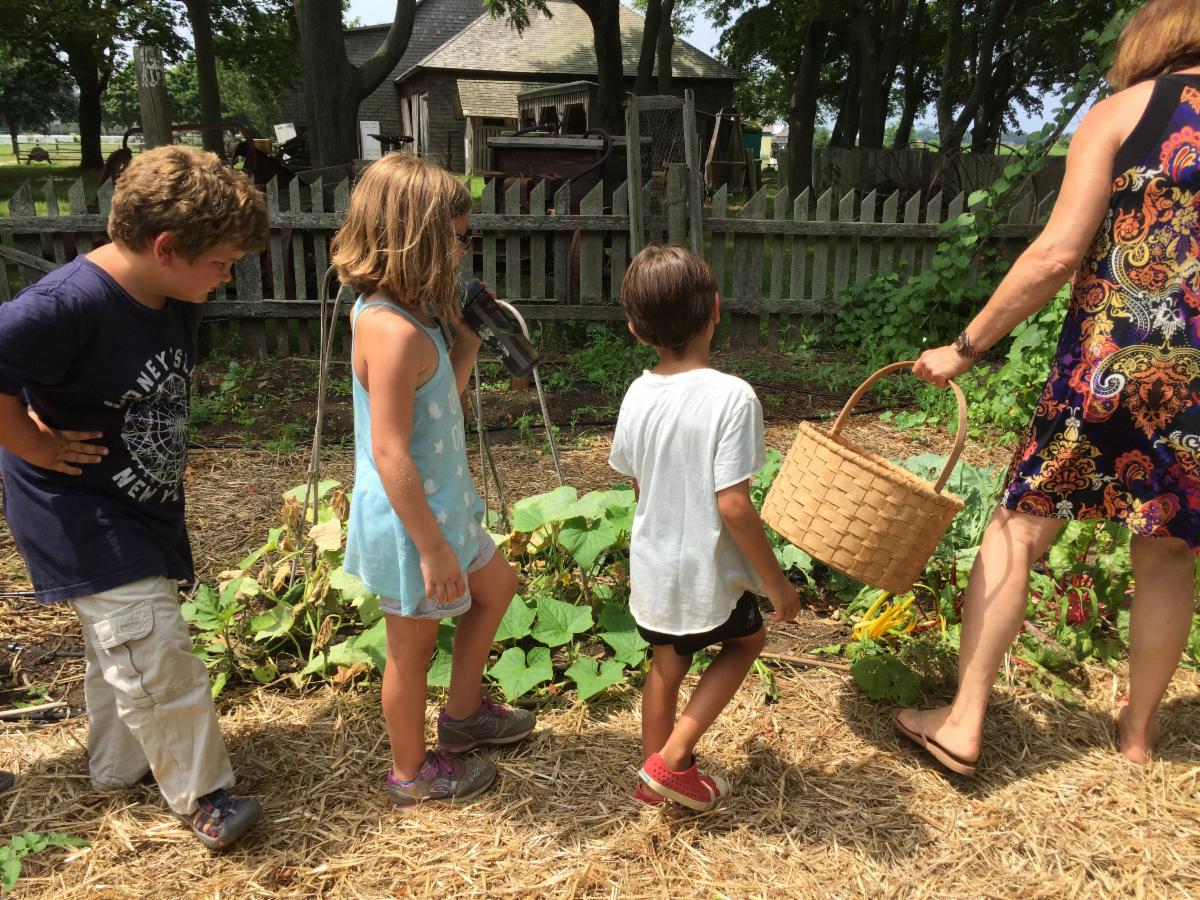 Hallockville Museum Farm - taking Long Island back to its family ...